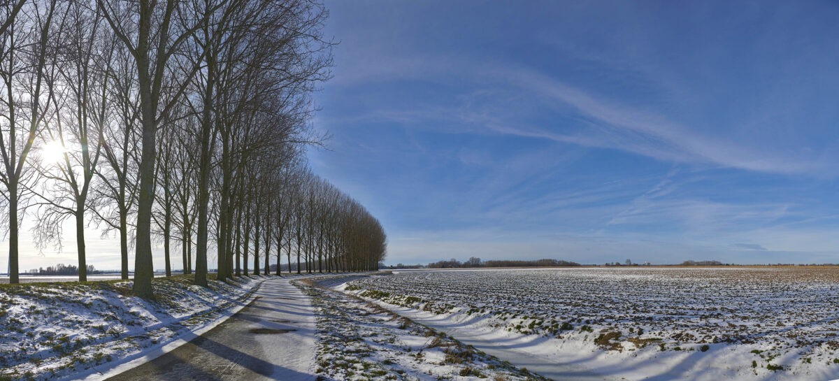 Mark tocht in de winter tussen Terheijden en Zevenbergen v.v. 12 en 14 ...